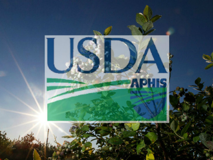 Una relación win-win: USDA-APHIS en Argentina – Argentina BlueBerry